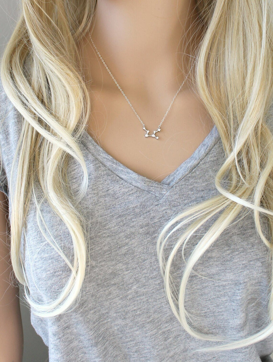Silver Horoscope Astrology Zodiac Birth Sign Chain Necklace – Luxoz